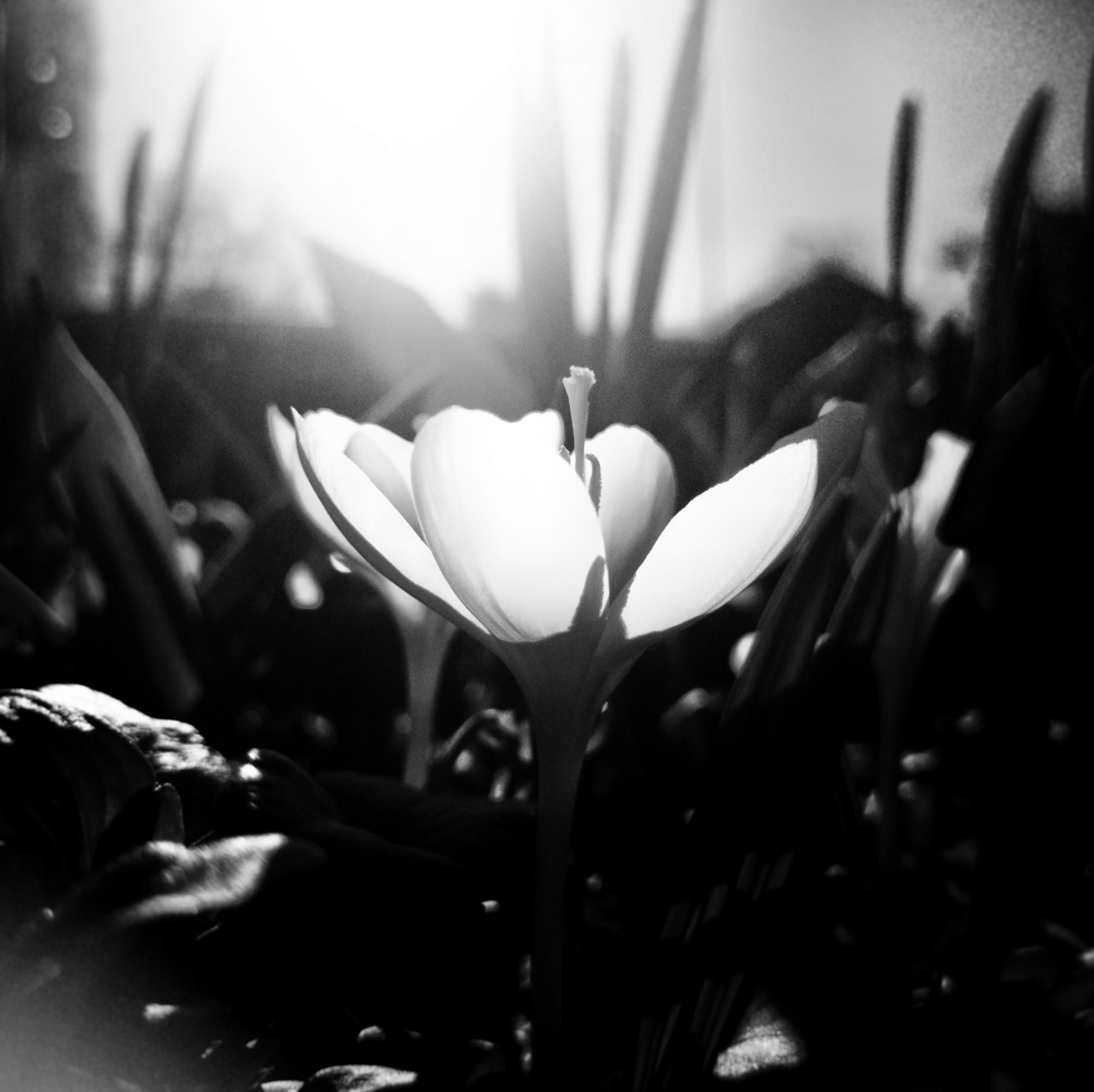 I am the embodiment of loneliness today - Laura Muresan Photography